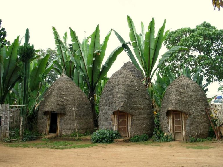 Dorze Village – Peerless Ethiopia Tours